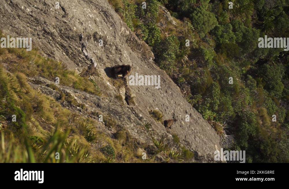 Standing on a steep slope Stock Videos & Footage - HD and 4K Video ...