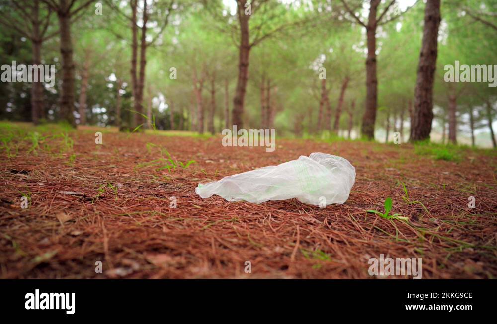 Plastic bag discarded in forest, pollution and littering in nature ...