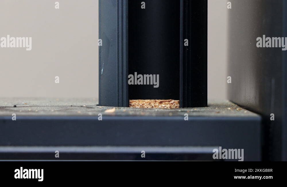 Puck stack Stock Videos & Footage - HD and 4K Video Clips - Alamy