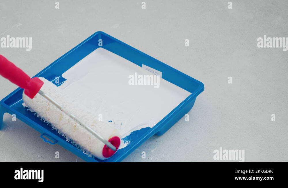 Paint roller dipping in white paint. Preparation for painting walls and ...