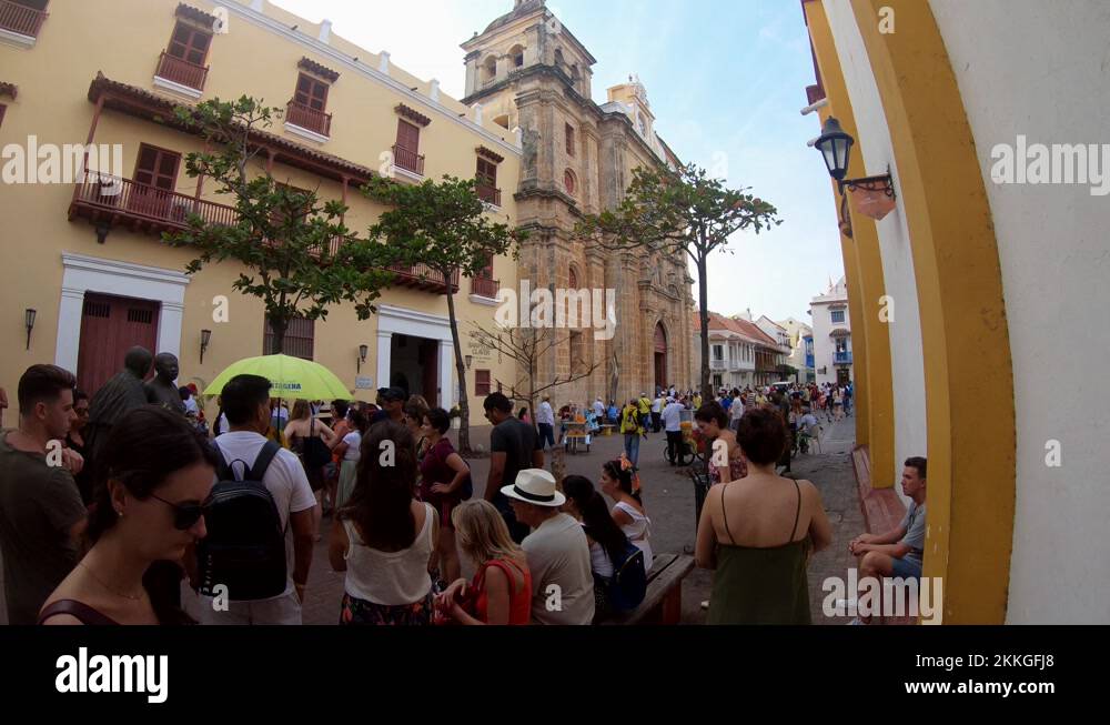 Tour guide umbrella Stock Videos & Footage - HD and 4K Video Clips - Alamy