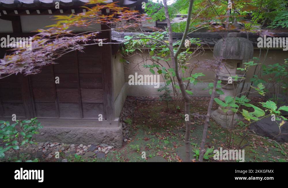 Japanese Temple Garden