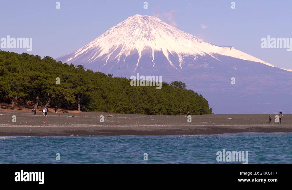 Famous and iconic view of snow capped Mt Fuji with forest and ocean on ...