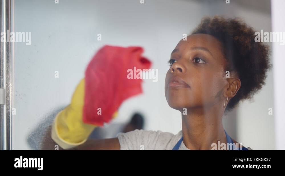 African cleaner Stock Videos & Footage - HD and 4K Video Clips - Alamy