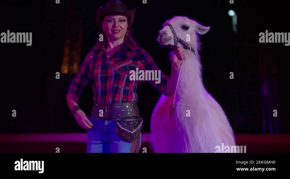 Animal stage Stock Videos & Footage - HD and 4K Video Clips - Alamy