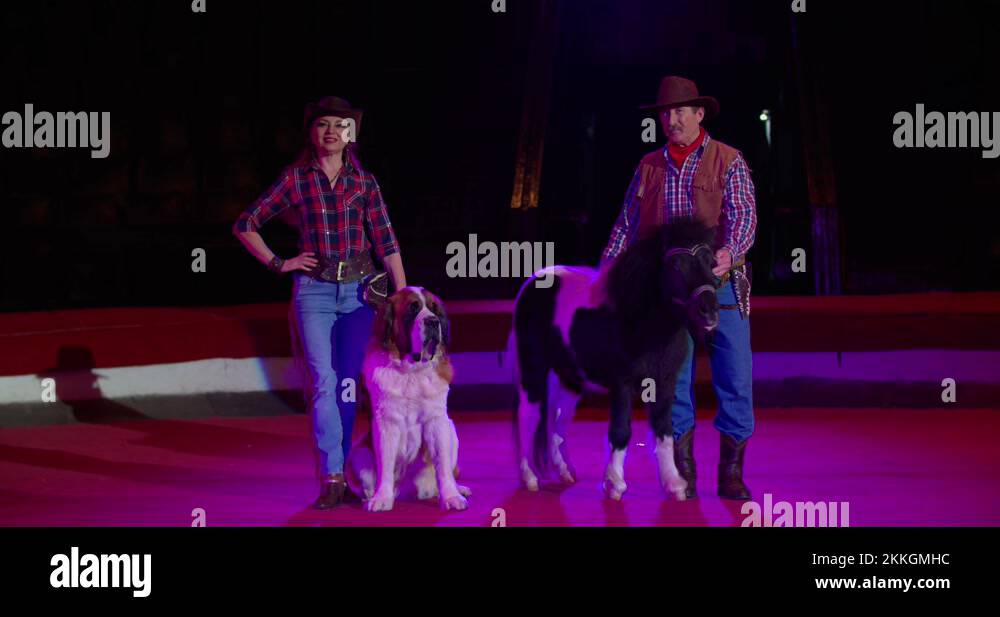 Trainers are posing with their animals on stage of a circus, dog and ...
