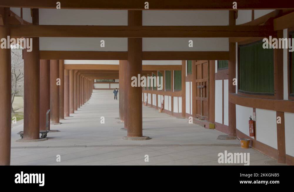 Empty Hall at Todaiji in Nara Japan as Tourism enters lock-down from ...