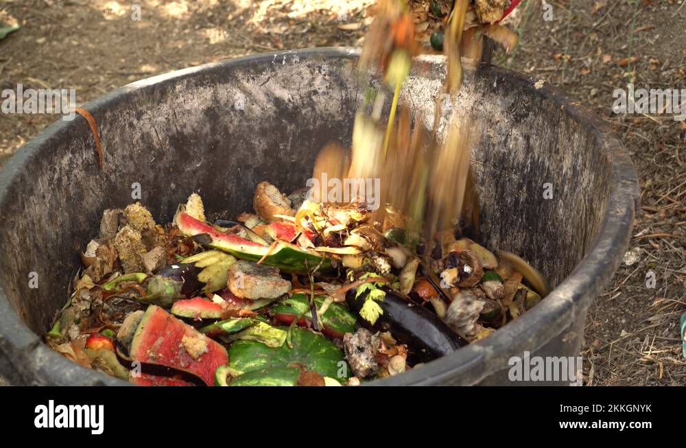The Compost. Bio-waste Recycling. Organic kitchen waste. Food Waste ...