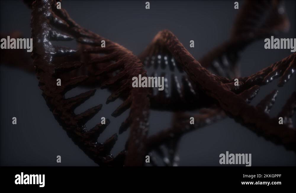loop double helical structure of dna strand close-up animation Stock ...