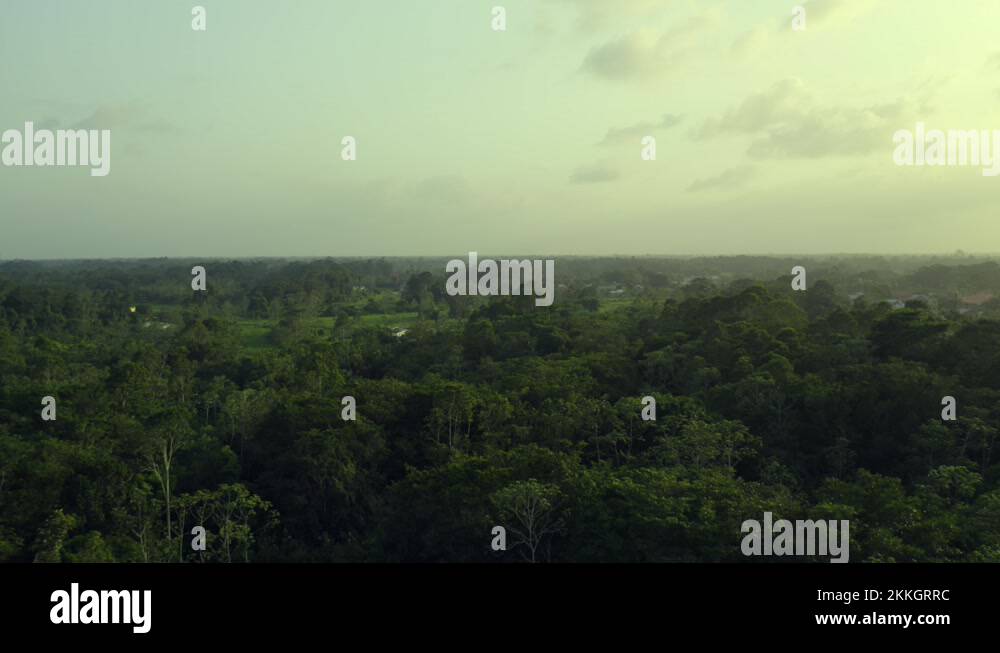 Edge of jungle rainforest, agricultural deforestation human impact ...