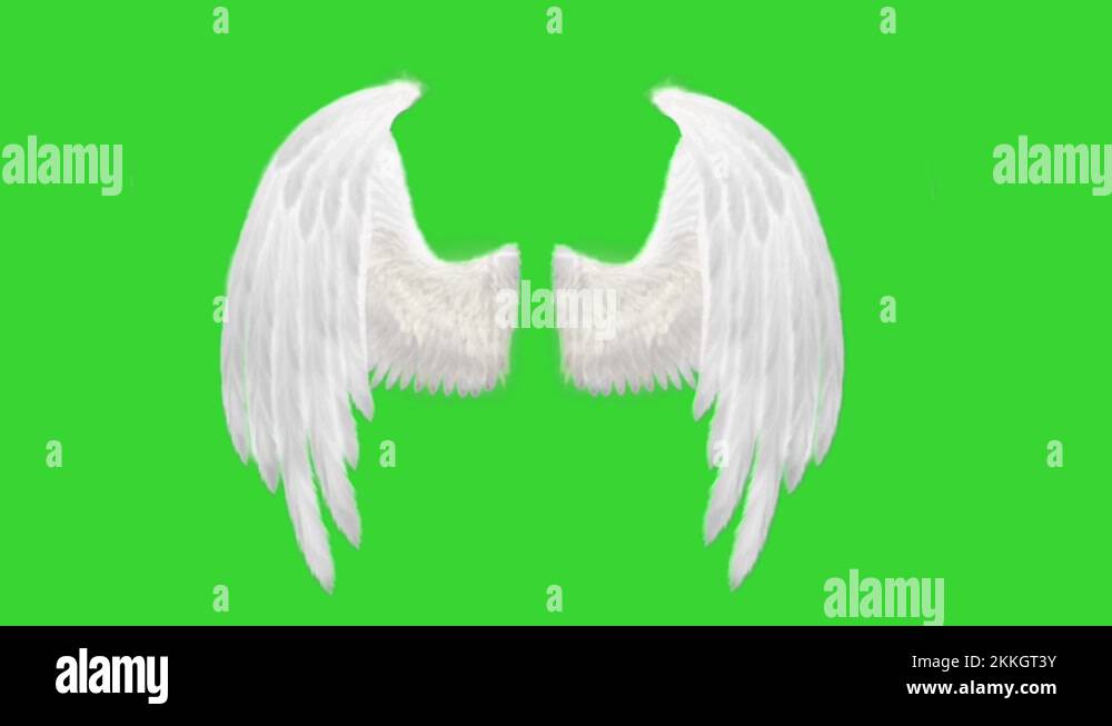 Real angel and devil flopping wings green screen pack of two wings ...