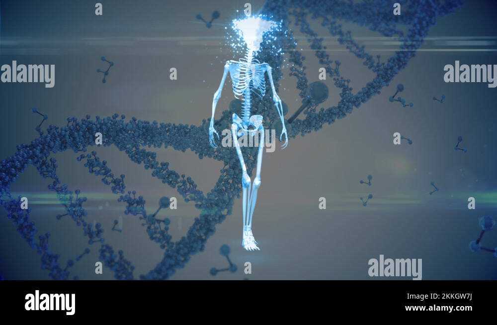 Animation of 3d dna strand spinning and molecules floating over human ...