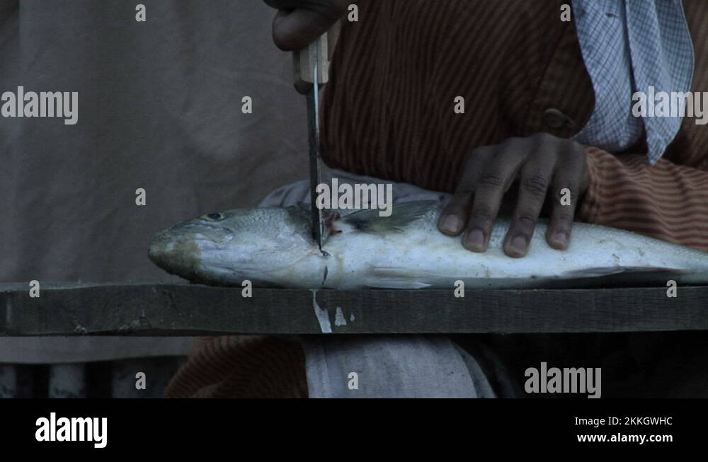 African slave woman 19th century Stock Videos & Footage - HD and 4K ...