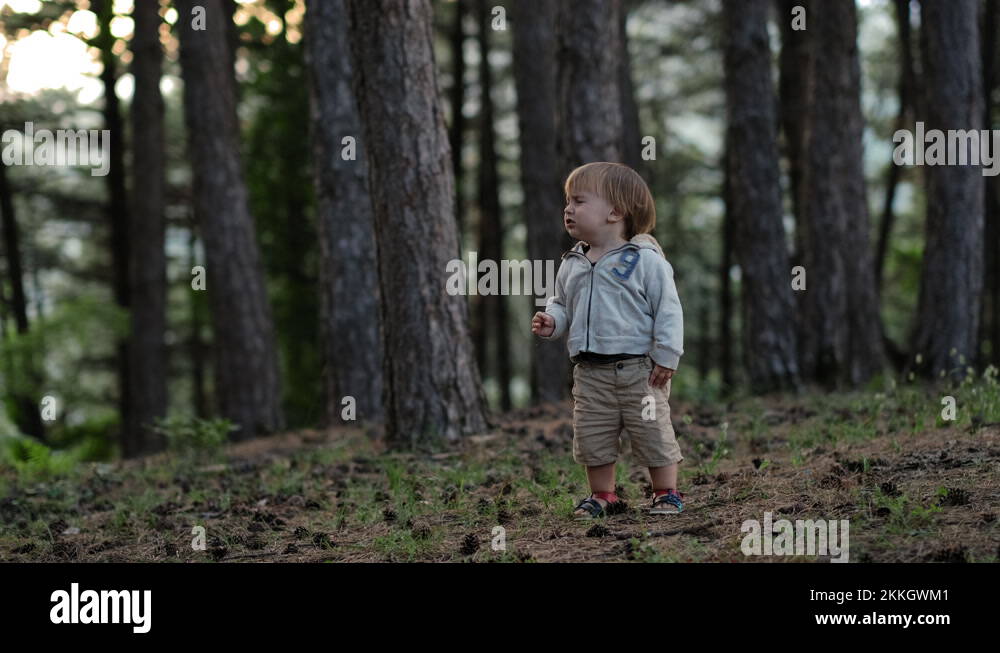 Upset little boy standing in forest with sadness and resentment Stock ...
