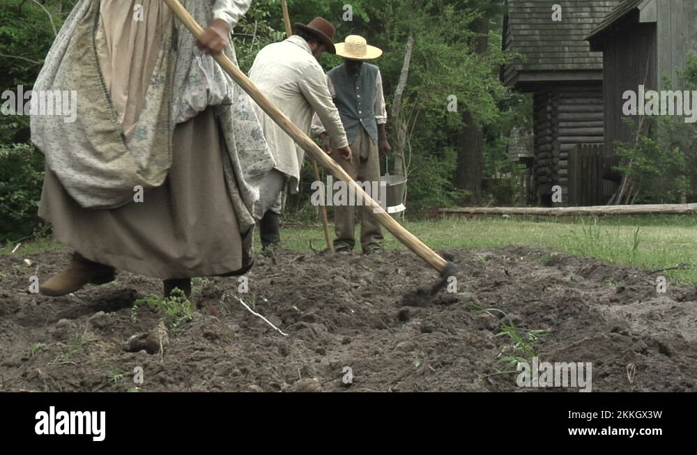 19th century farming Stock Videos & Footage - HD and 4K Video Clips - Alamy