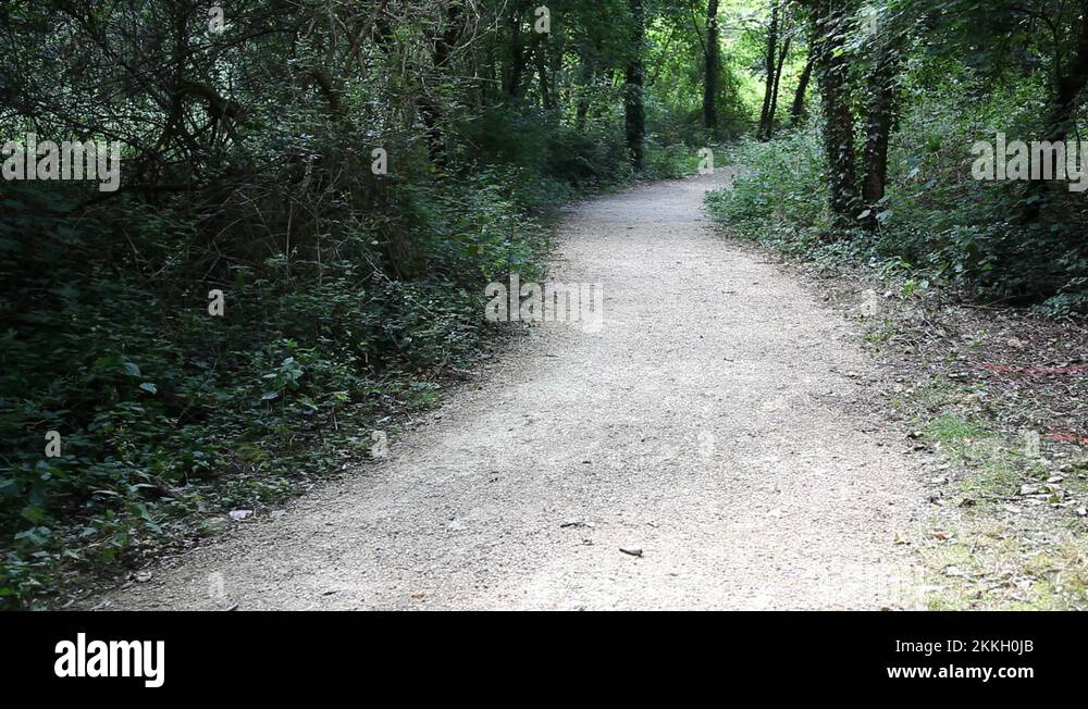 Orientation riding Stock Videos & Footage - HD and 4K Video Clips - Alamy