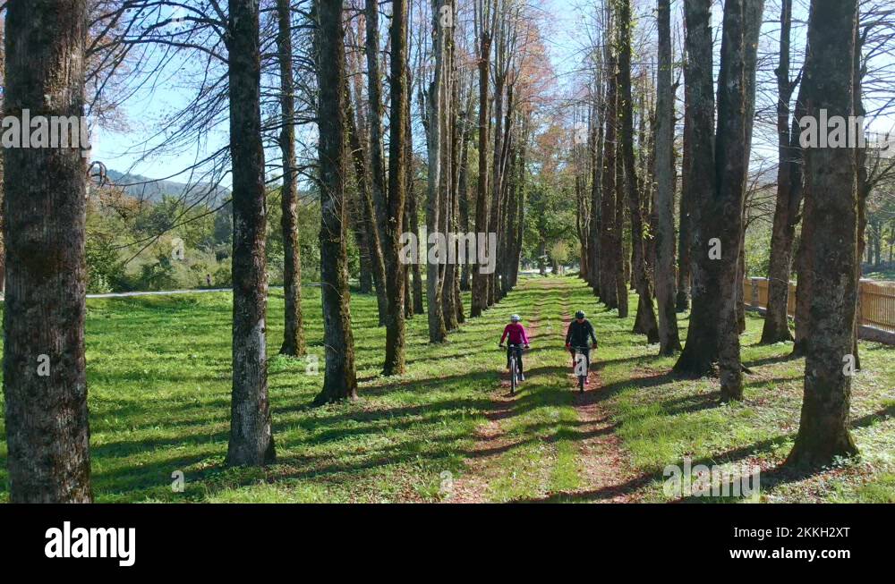 Linear perspective road Stock Videos & Footage - HD and 4K Video Clips ...