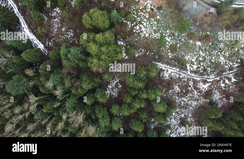 Top down view of green spruce forest and parking lot with a snow Stock ...