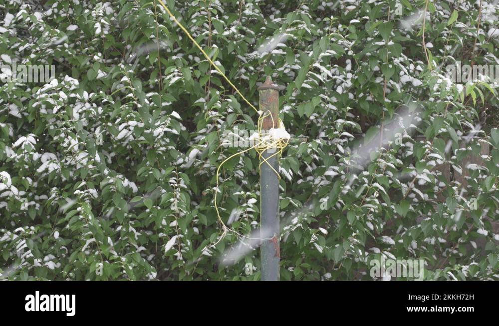 Washing pole Stock Videos & Footage - HD and 4K Video Clips - Alamy