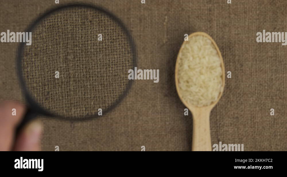 Examine a spoonful of rice grains with a magnifying glass. Top view ...