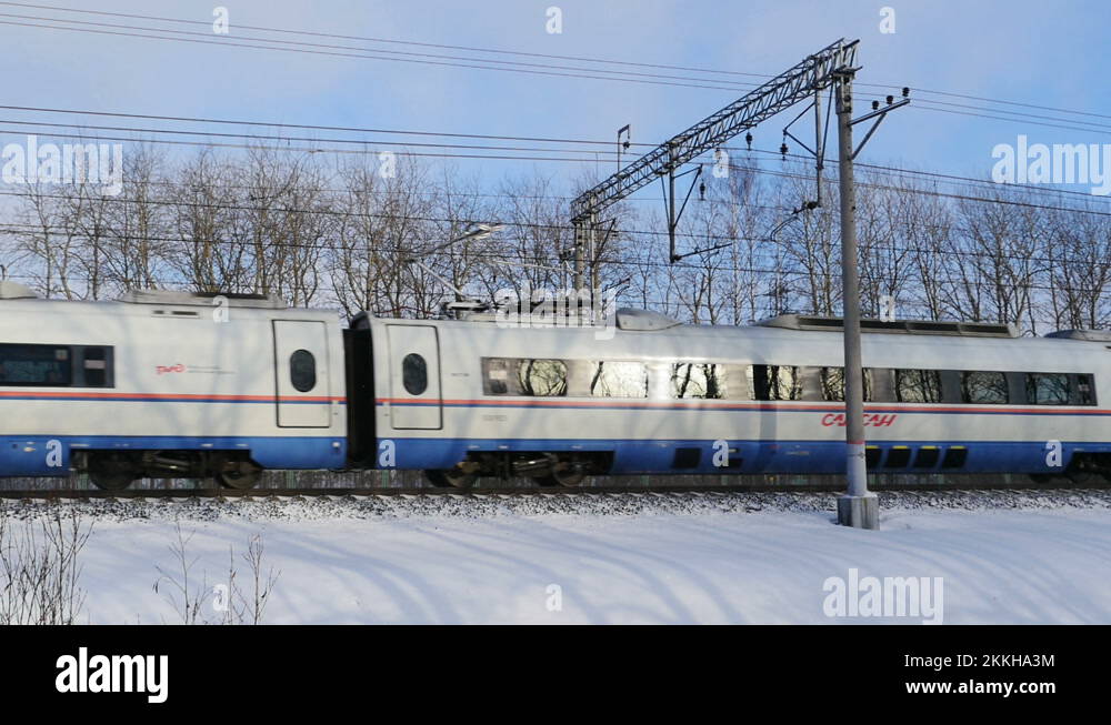 Peregrine white Stock Videos & Footage - HD and 4K Video Clips - Alamy