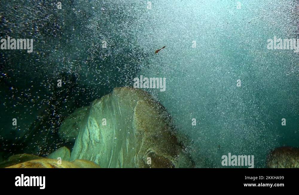 Water churned boils and bubbles underwater of fast flowing waters of ...