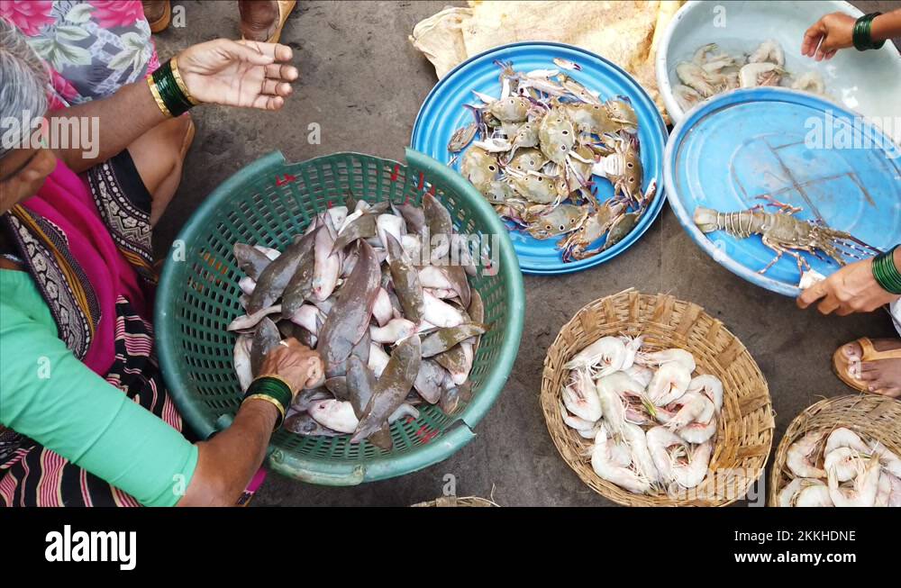 Ratnagiri district Stock Videos & Footage - HD and 4K Video Clips - Alamy