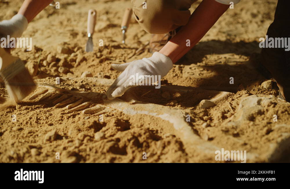 Site ancient digging museum Stock Videos & Footage - HD and 4K Video ...