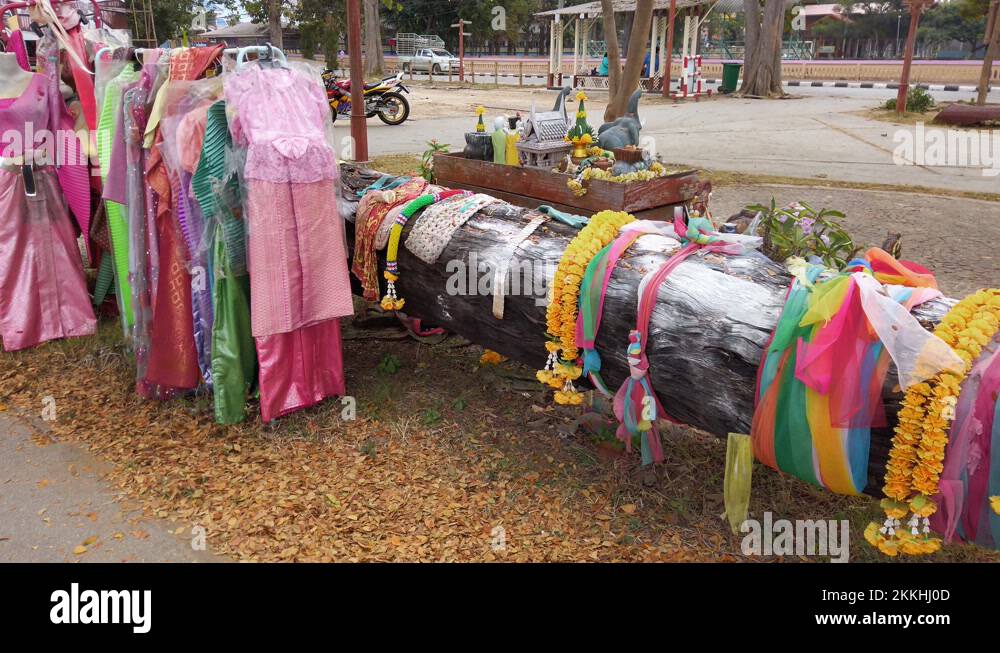 Horizontal tree log Stock Videos & Footage - HD and 4K Video Clips - Alamy