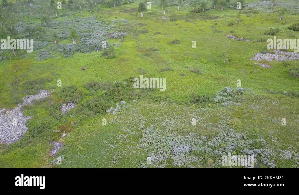 northern urals, valley of the Dyatlov group pass, mountain Otorten ...