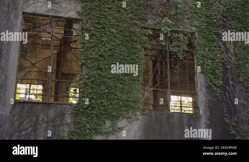 Ruin of Power Plant on Okunoshima, Japan. Close up of broken windows ...