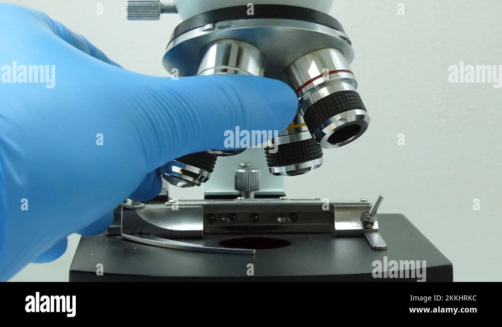 View science Stock Videos & Footage - HD and 4K Video Clips - Alamy