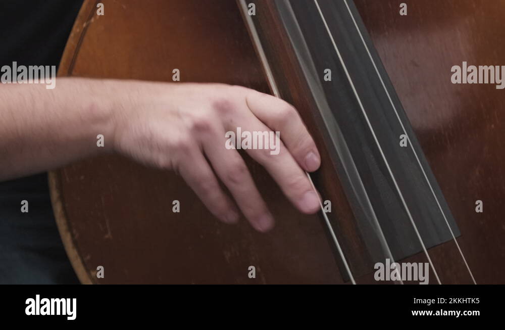 Contrabassist Stock Videos & Footage - HD and 4K Video Clips - Alamy