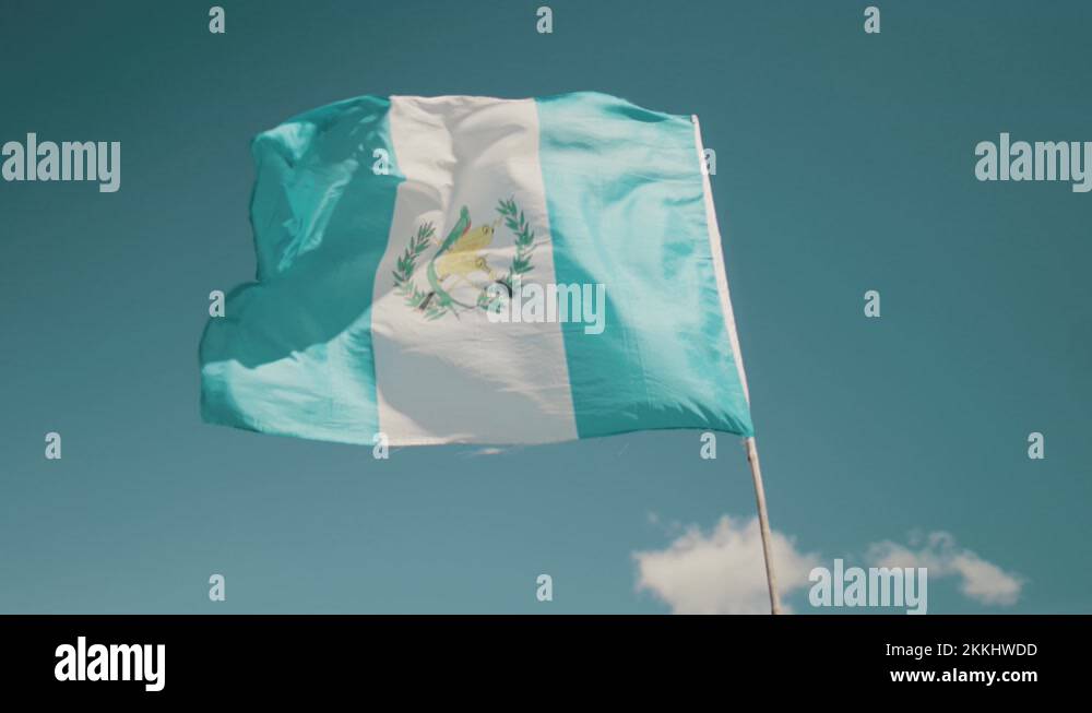 Guatemalan quetzal Stock Videos & Footage - HD and 4K Video Clips - Alamy