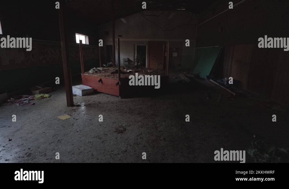 Decaying nature Stock Videos & Footage - HD and 4K Video Clips - Alamy