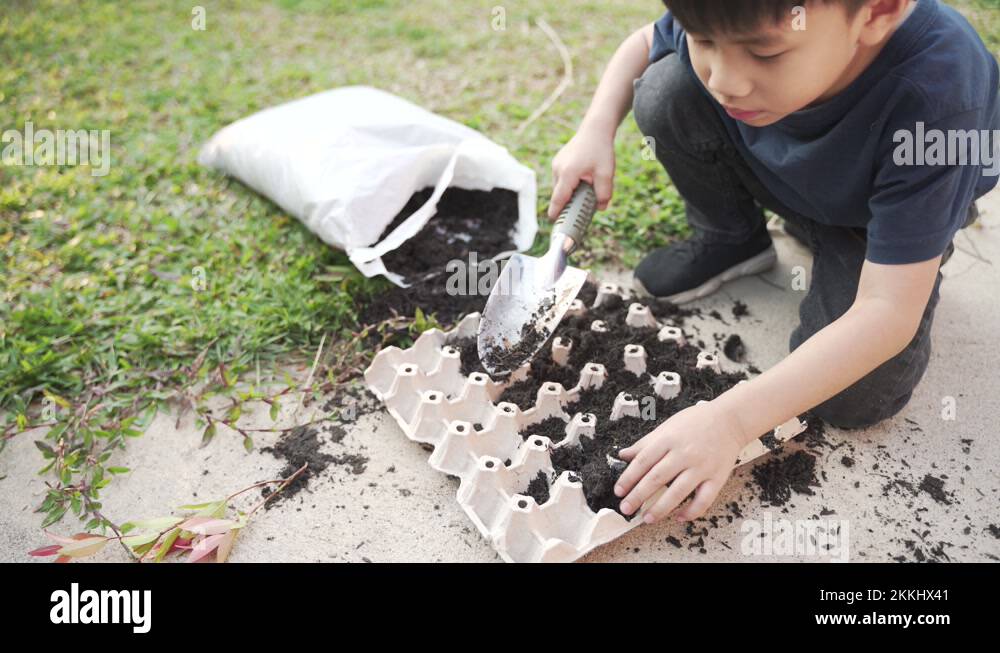 Egg carton soil Stock Videos & Footage - HD and 4K Video Clips - Alamy