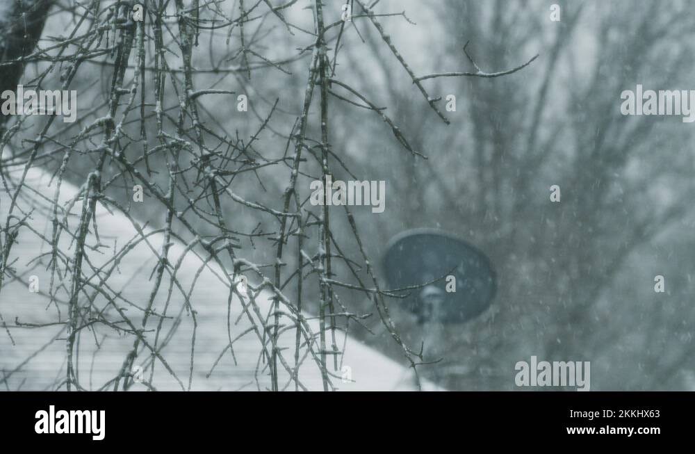 Light flurry snow Stock Videos & Footage - HD and 4K Video Clips - Alamy