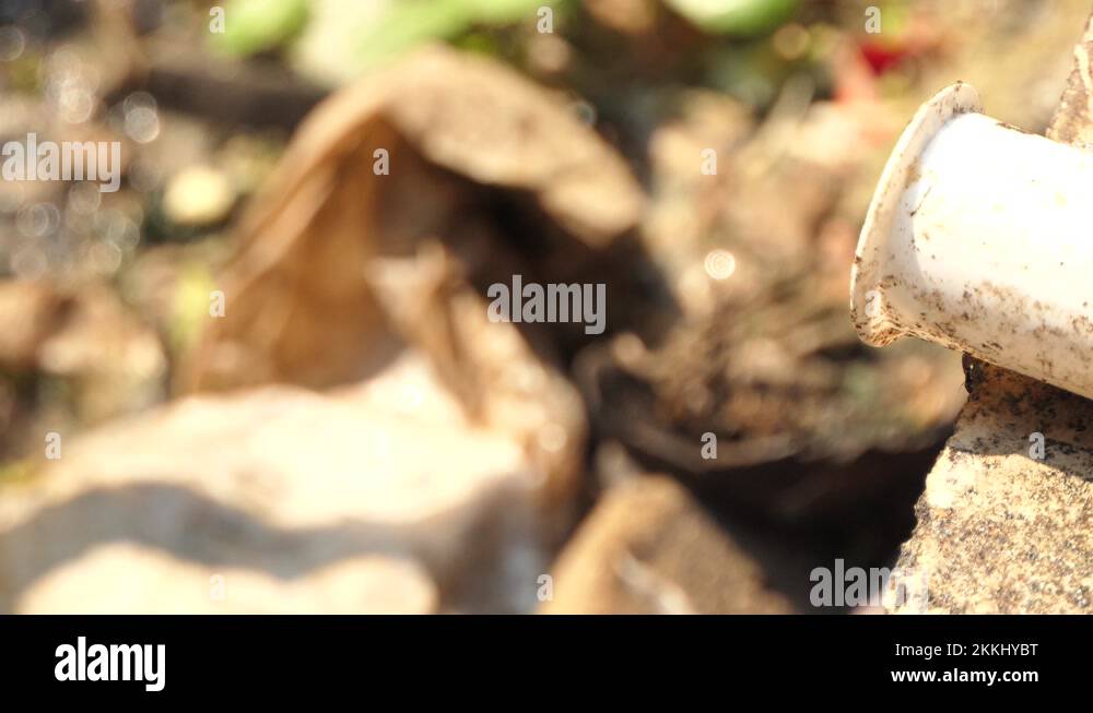 Conduit house Stock Videos & Footage - HD and 4K Video Clips - Alamy