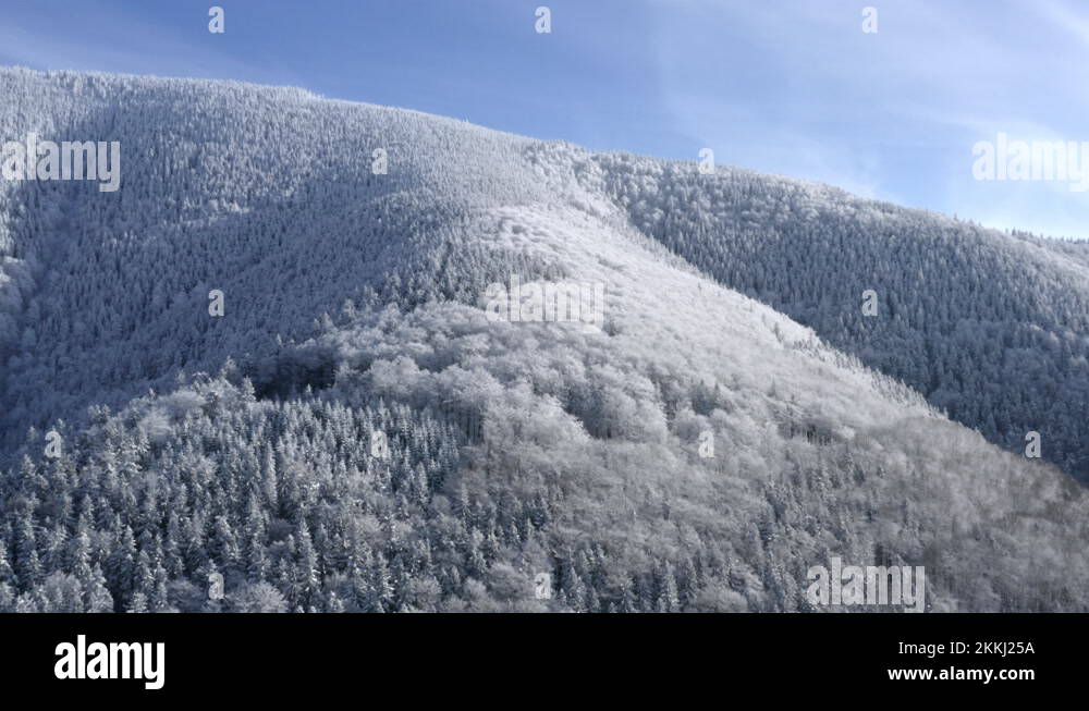 Mountain crest with trees and forests in winter snow,sunny sky,Czechia ...