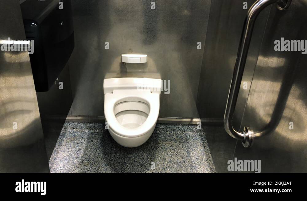 White WC in a silver shiny toilet cubicle on a blue speckled floor ...