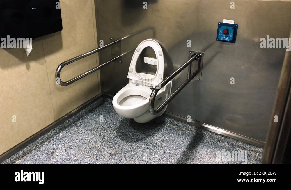 disabled toilet with a white toilet seat standing up against the silver ...