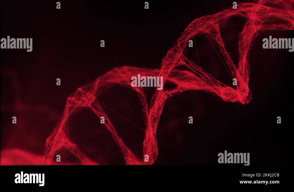 Close-up Red Binary Molecules Structure DNA Model Rotating Bright 3D ...