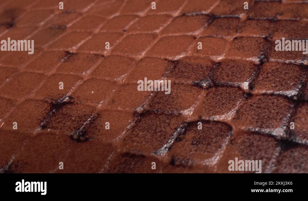 The real brown texture of animal leather. Exotic skins in Fashion and ...