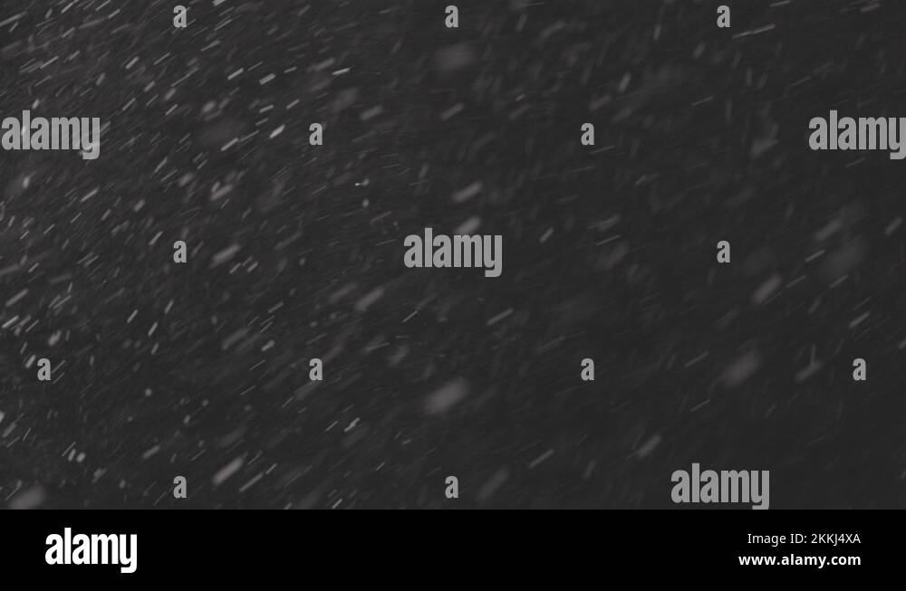 Beautiful Real falling snow isolated on black background in 4K slow ...