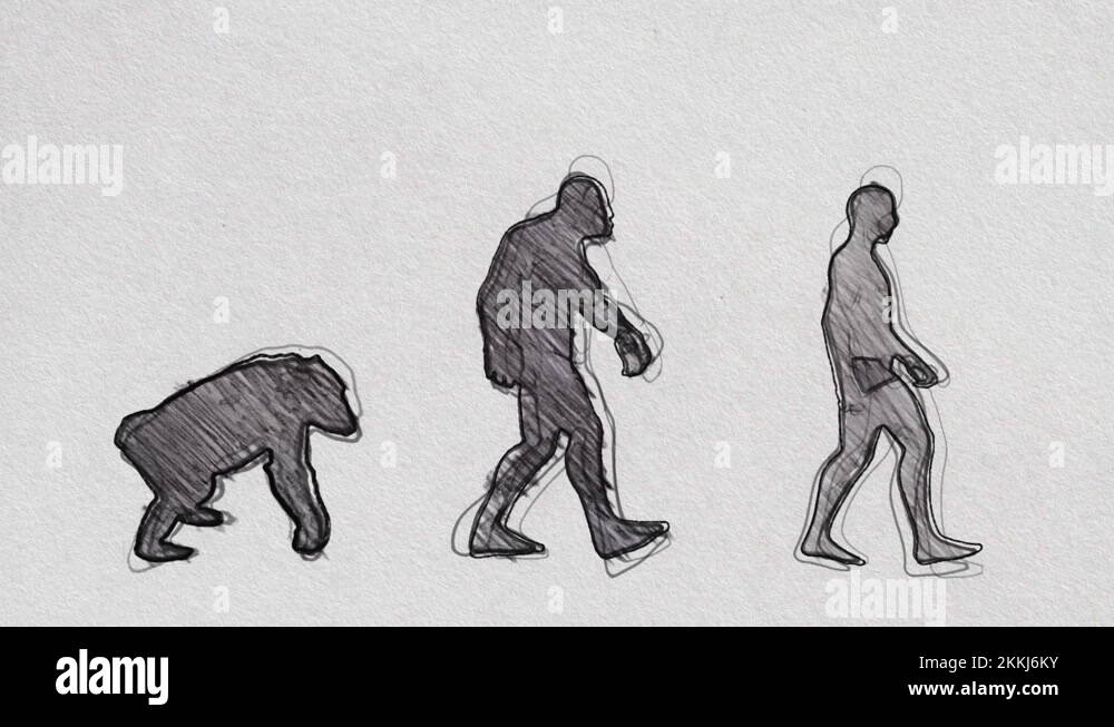 Human Evolution Timeline Walking in Pencil Sketch Seamless Loop Stock ...