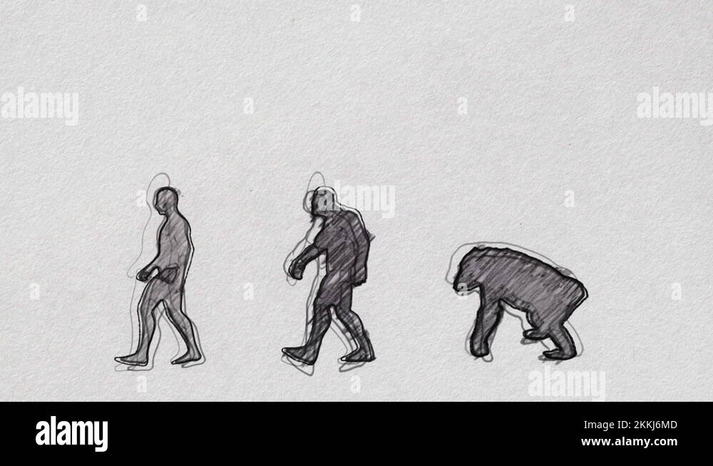 Human Evolution Timeline Walking Pencil Sketch in Seamless Loop Stock ...