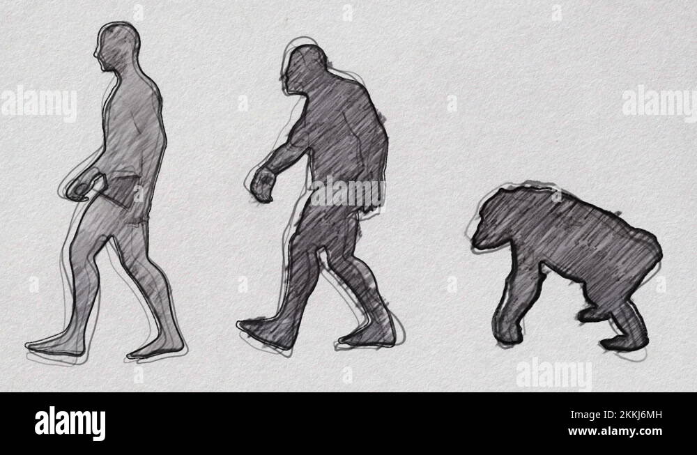 Human Evolution Timeline Pencil Sketch Seamless Loop Stock Video ...