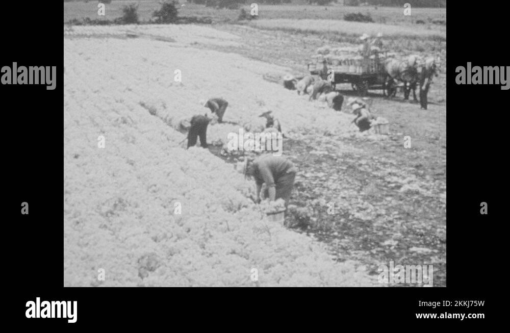 Wartime farm work Stock Videos & Footage - HD and 4K Video Clips - Alamy