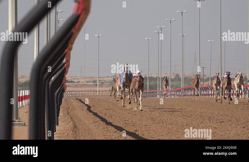 On a dusty racetrack, cameras race toward the camera in the UAE. Static ...