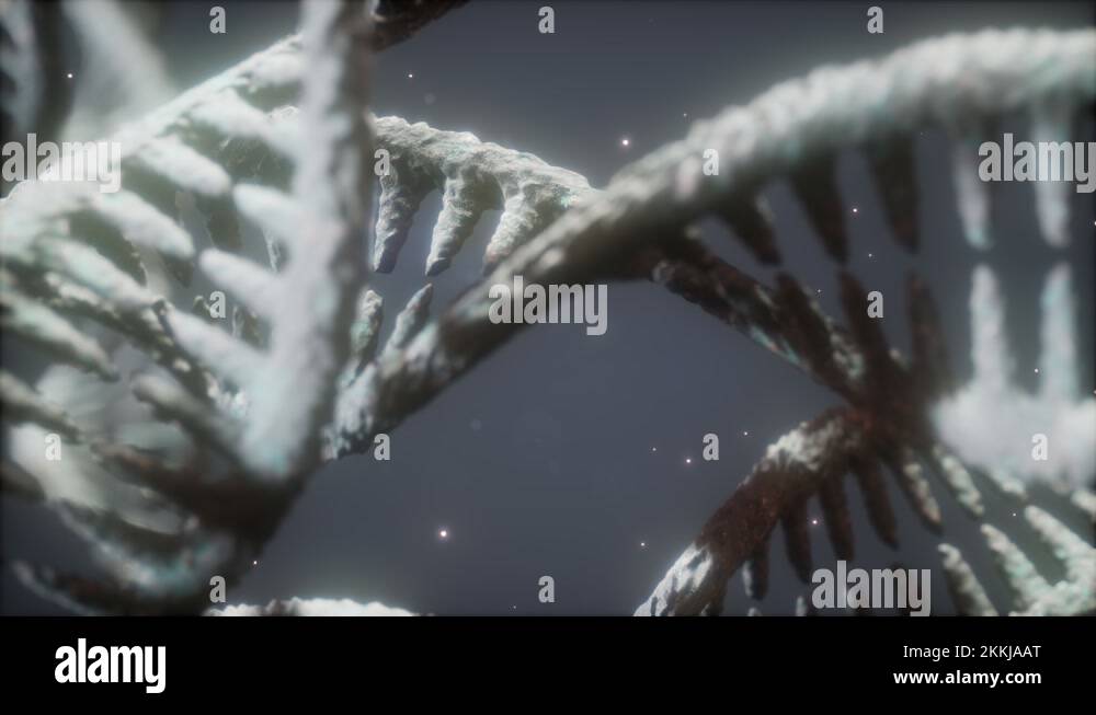 structure of the DNA double helix animation Stock Video Footage - Alamy